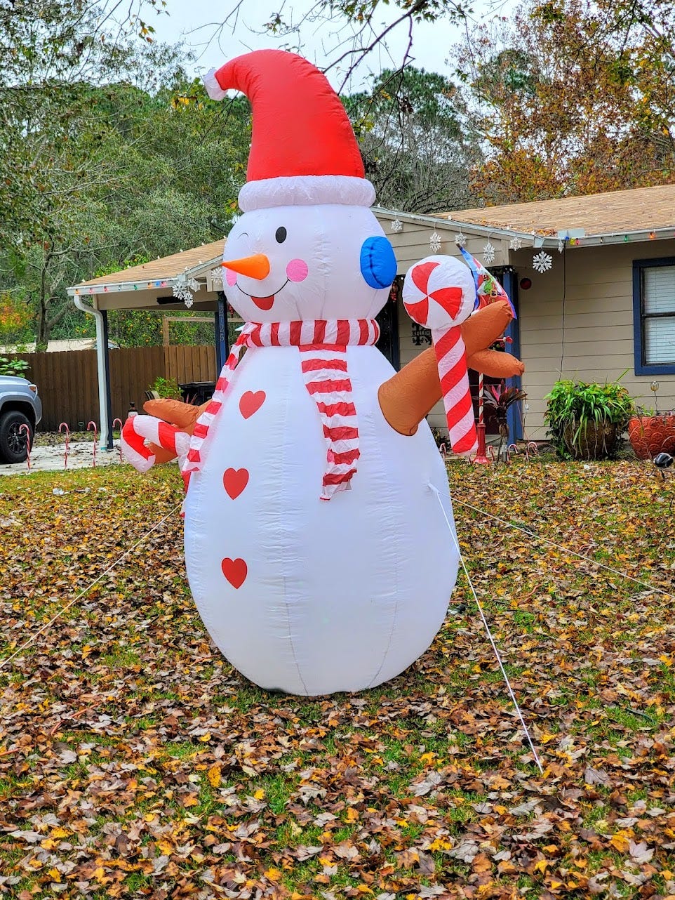 Florida Snowman. December Six Word Photo Story… | by Dennett | Six Word ...