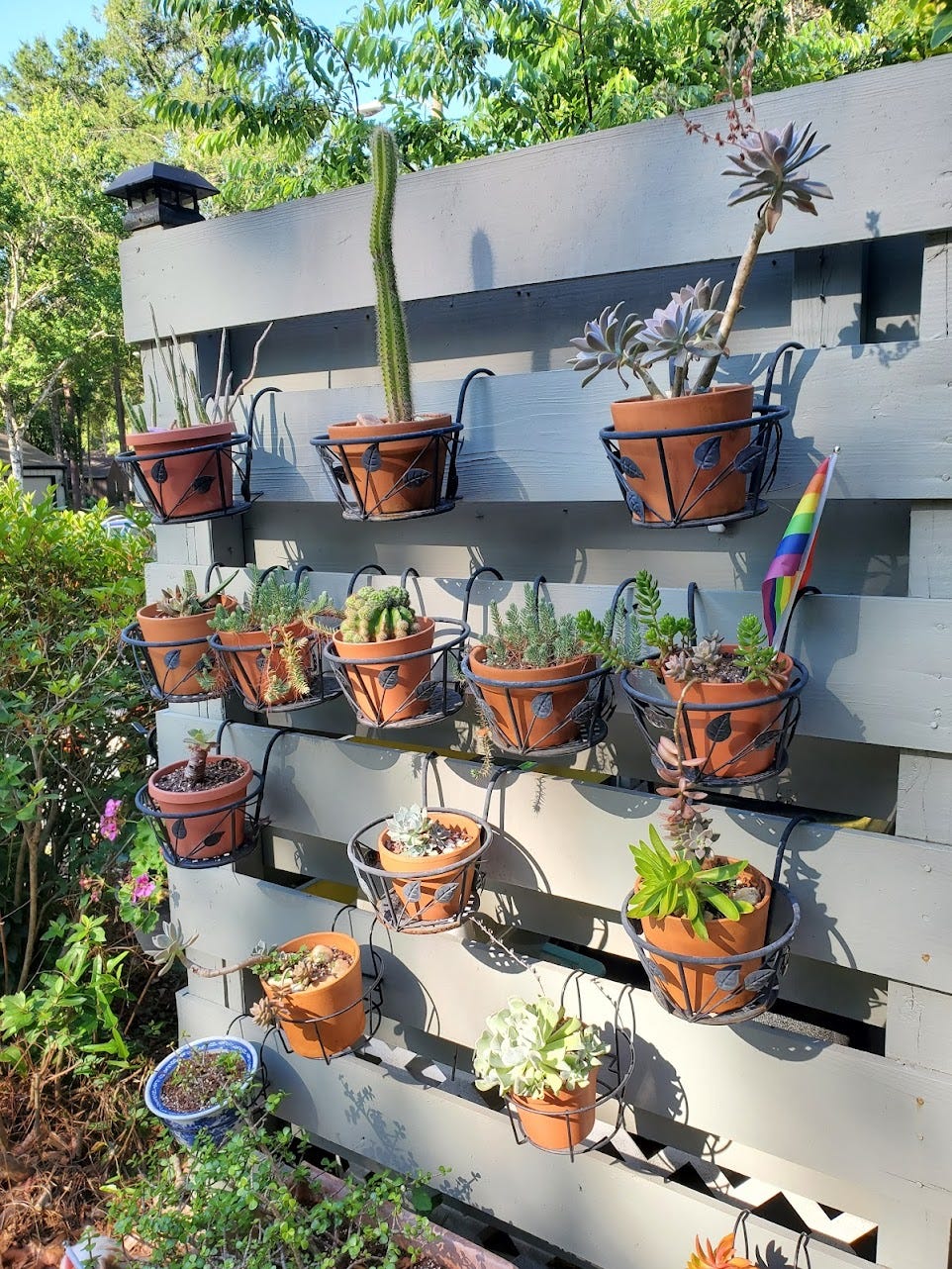 My Garden — Small but Mighty. A garden photo journal | by Dennett ...