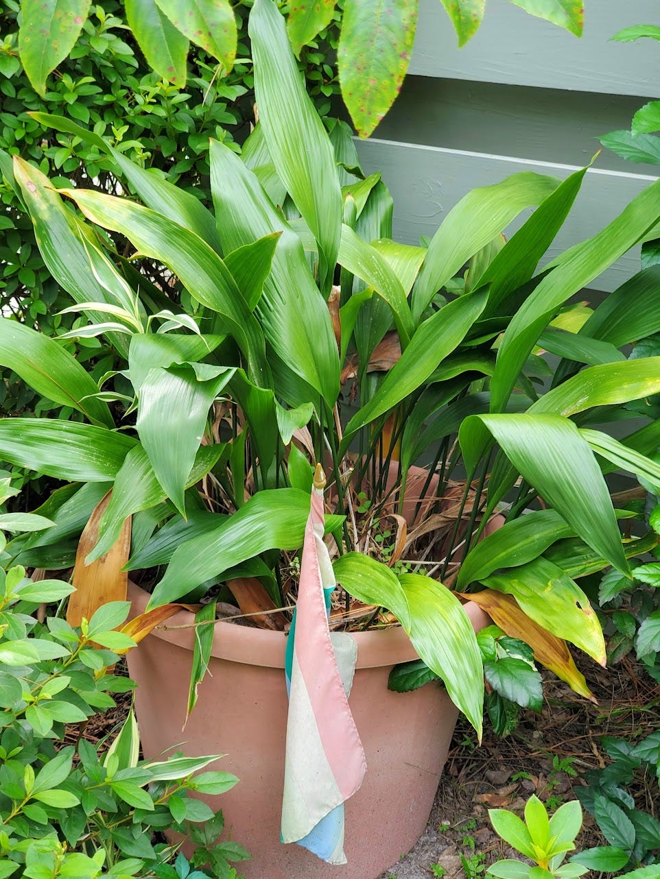 Saved for a Moment. A tanka | by Dennett | Medium