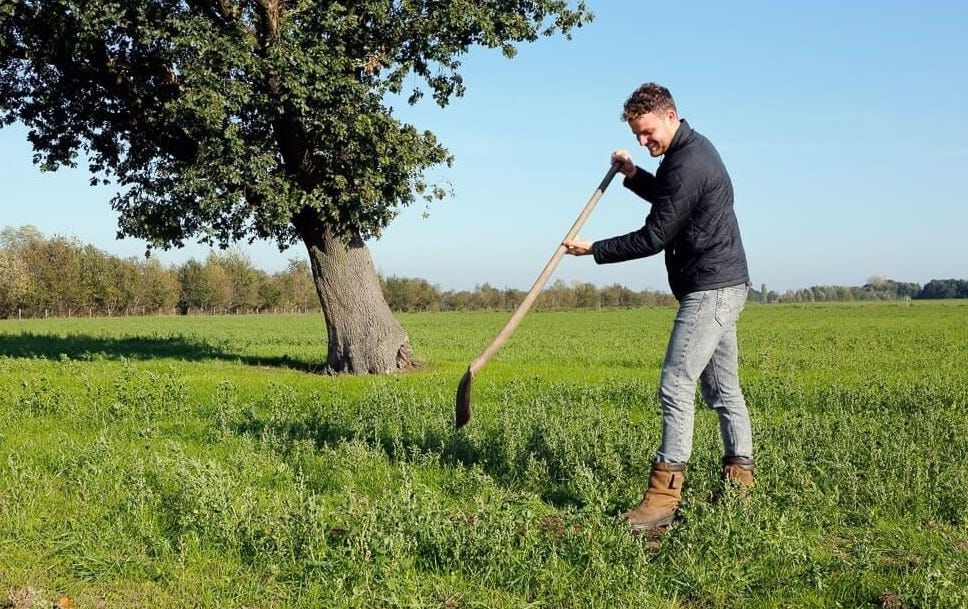 ‘A food forest instead of cows’: the Dutch struggle to plant more trees | by Suzanne Vink | Medium