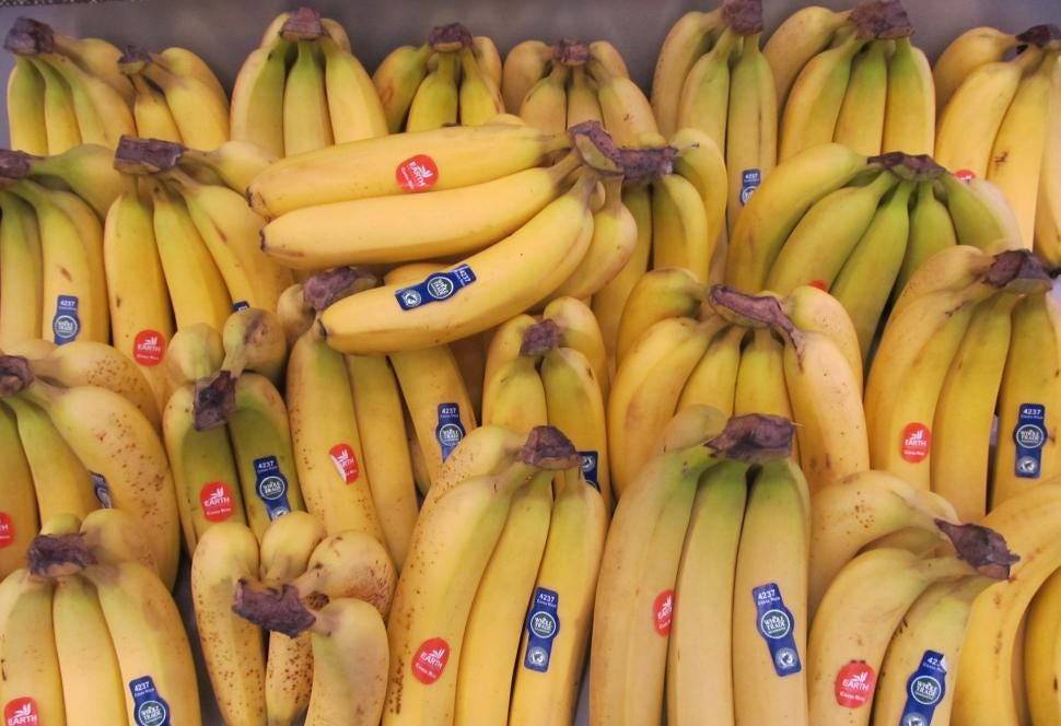 Surprising Uses for Bananas You Never Thought Of | by Monika Meejeshi ...