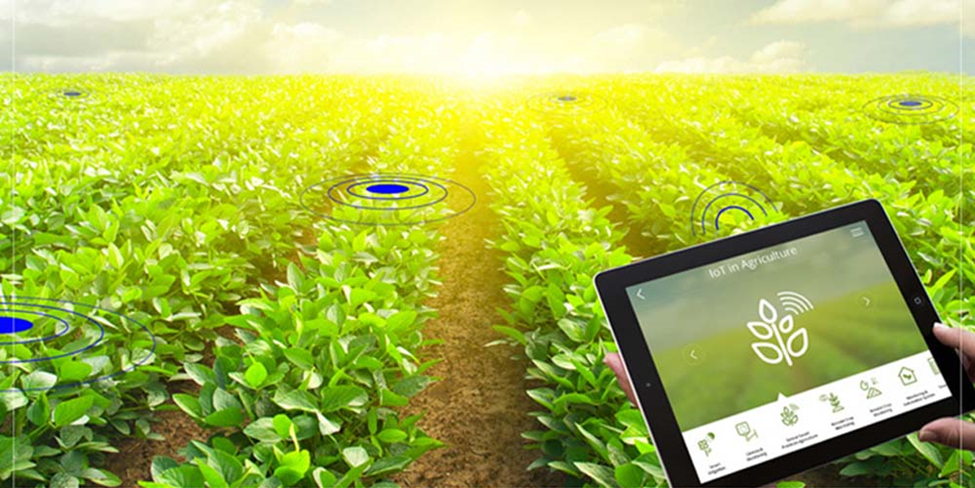 Harnessing Data Science For Agricultural Crops Prediction | by Sadhana ...