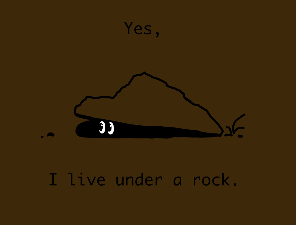 An honest review of (metaphorically) living under a rock | by Ayush ...