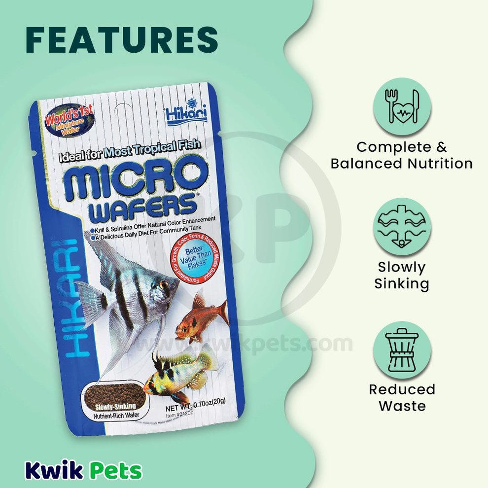 What Are the Benefits of Using Hikari Micro Pellets in a Community Tank? | by Kwik Pets | Aug ...