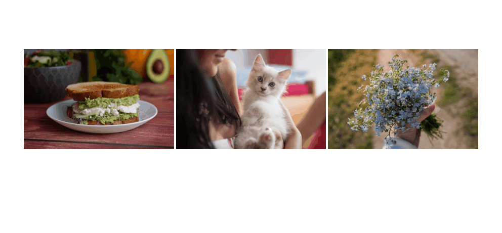 Meet baguetteBox.js -A Lightbox Script for Generating Animated Images | JavaScript in Plain English