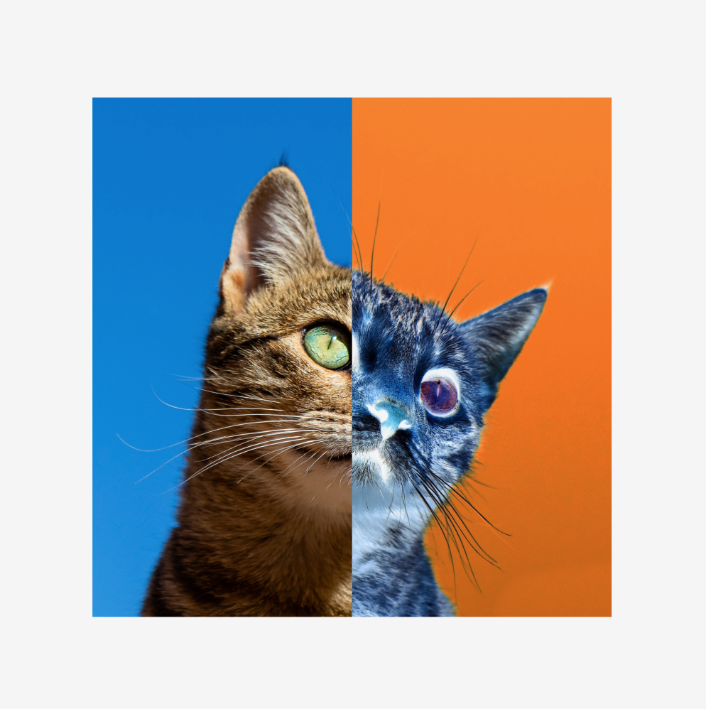 Product design 101: what to know about styles | by Eva Kuttichová | UX ...