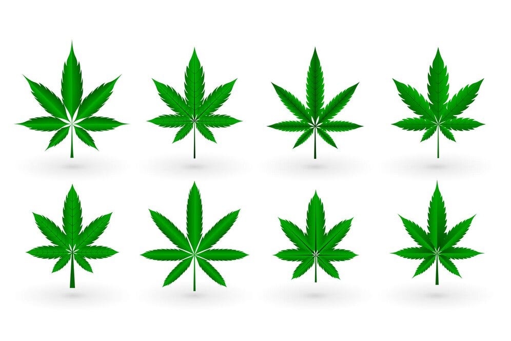 Exploring Cannabis Strains: A Comprehensive Guide to Reviews and ...