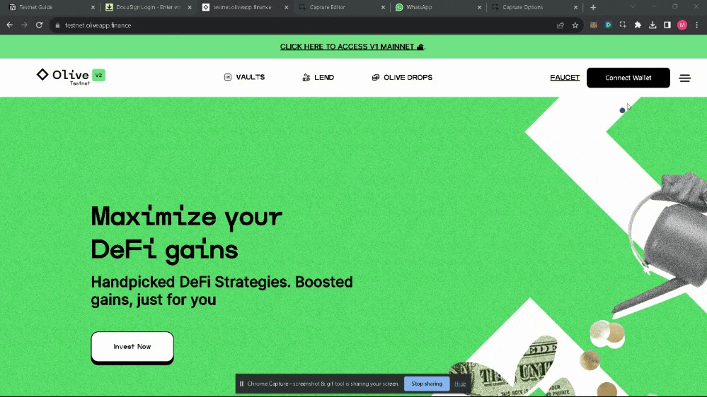 Olive Finance — Incentivized Testnet Guide | by King Fisher | Medium