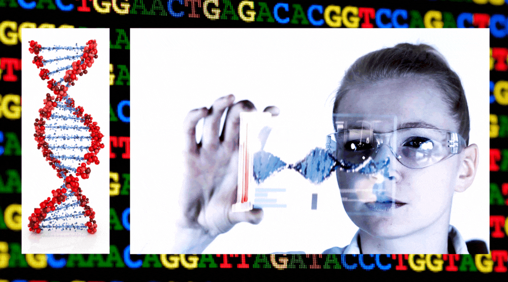 The God Code Discovered in DNA …. Are We a Representative of the Source ...