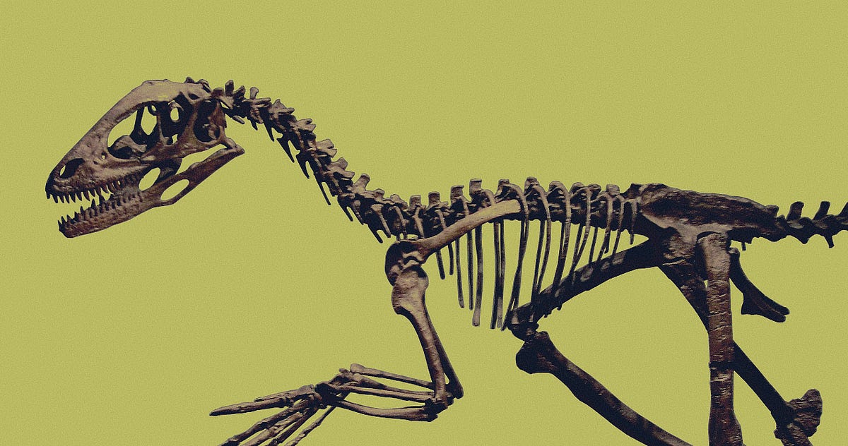 Deinonychus: The Fossil Discovery That Changed Our Dinosaur Perception ...
