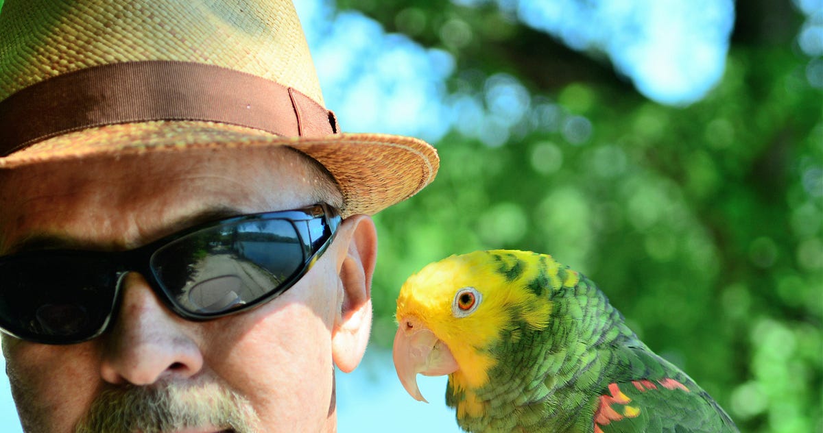 Rob White: 5 Lifestyle Tweaks That Can Dramatically Improve Your ...
