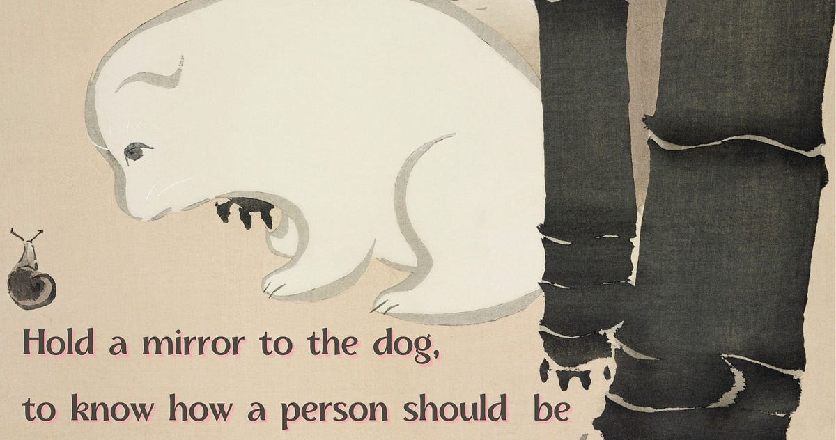 New Animal Aphorisms to Live By. What better way to view the world than ...