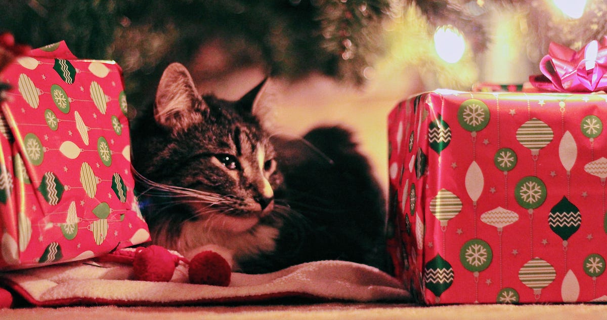 Gifts Freely Given. The holidays can be an awkward time at… | by ...