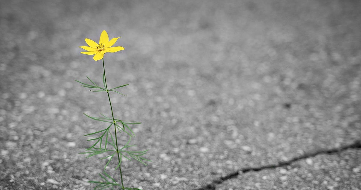 Rediscovering Ordinary in the Shadows of Extraordinary | by David Lee ...
