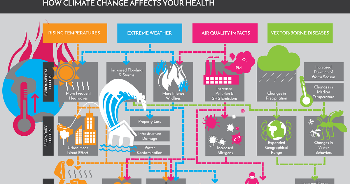 How Heat Affects Your Health. An illustrated guide | by Nexus Media ...