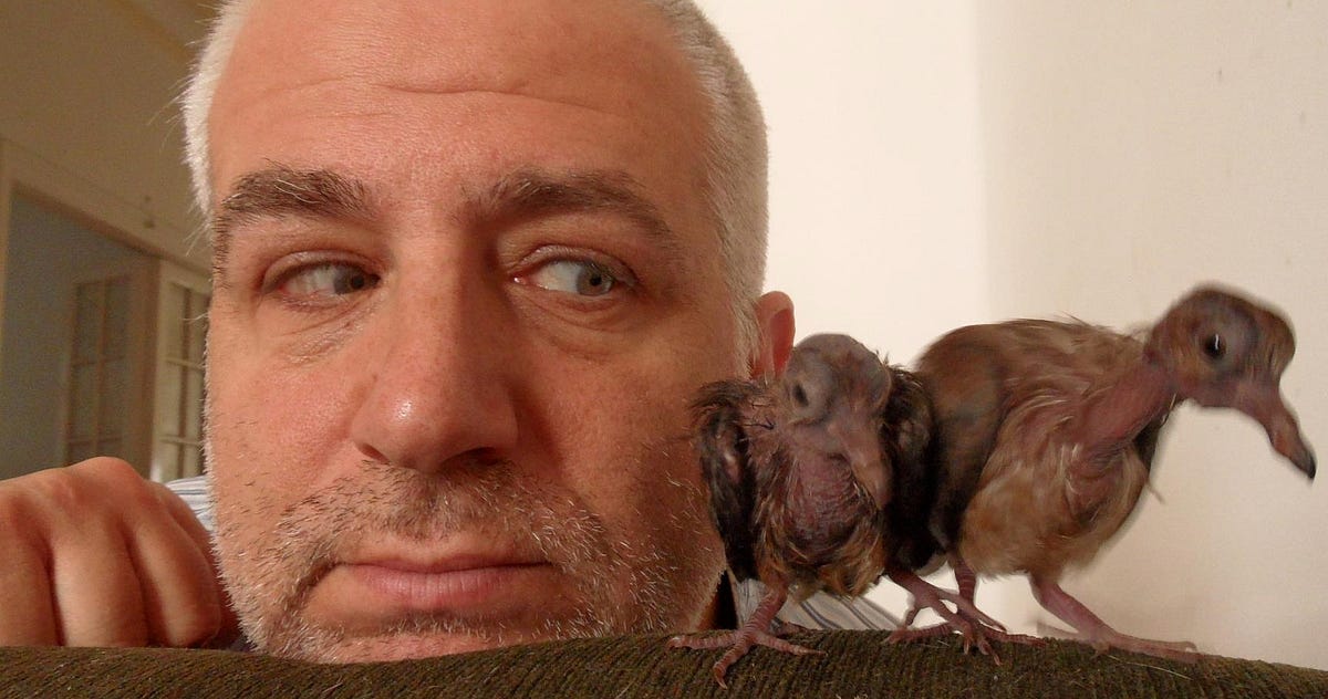 Author James Bloom: 5 Things I Wish Someone Told Me | by Edward Sylvan ...