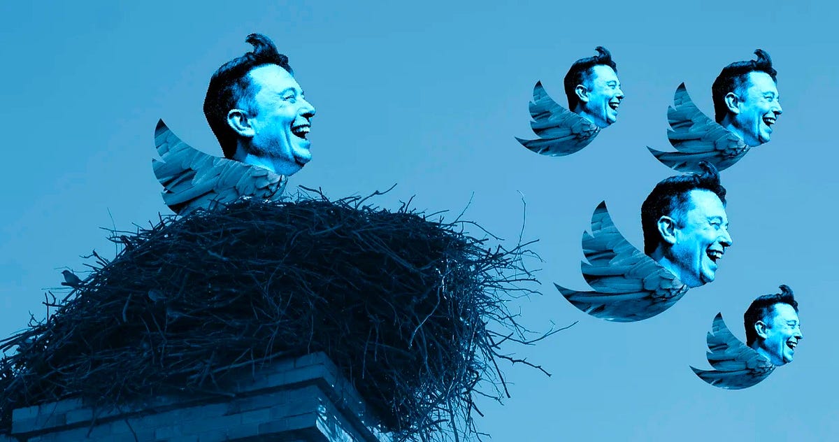 No, Twitter Isn’t Dying. It’s Being Reborn. | by Tim Denning | The ...
