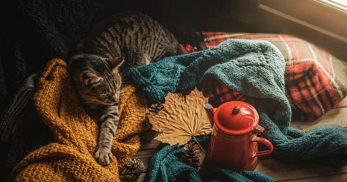 What Are You Doing to Get Cozy?. Sometime in the fall, when the weather ...