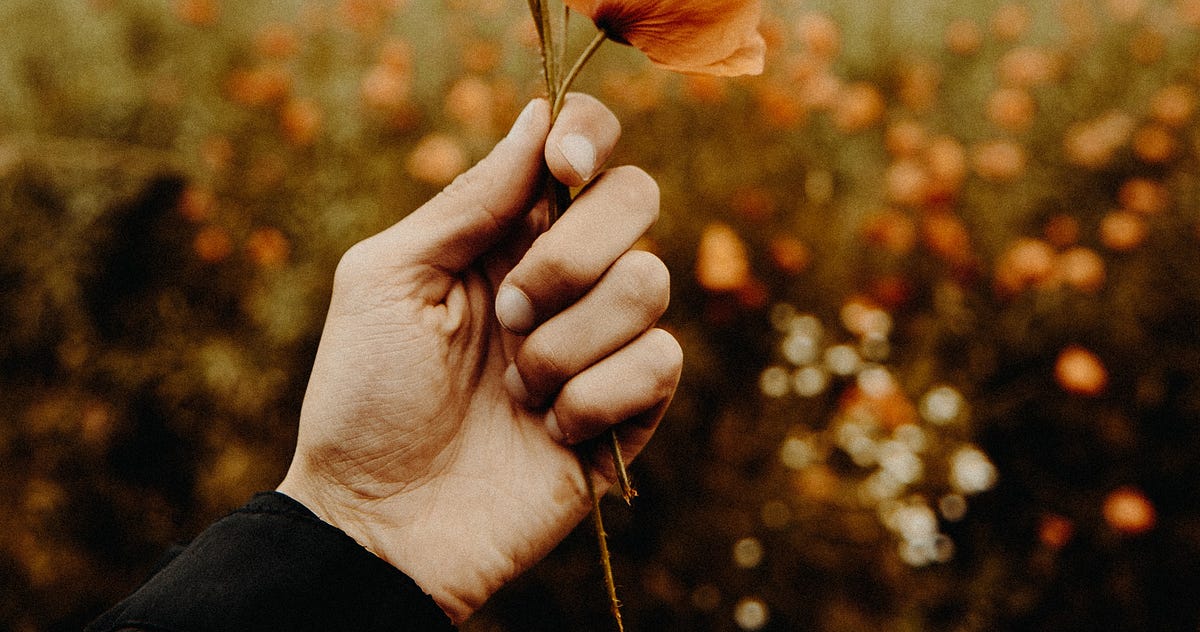 Dear Poem. A letter for poem | by Priyanka Srivastava | Scribe | Medium