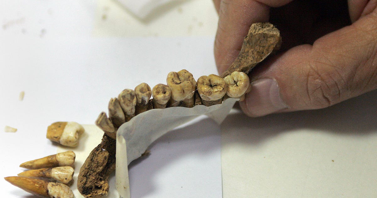 The Truth in Baby Teeth. Fossilized remains of children have a… | by ...