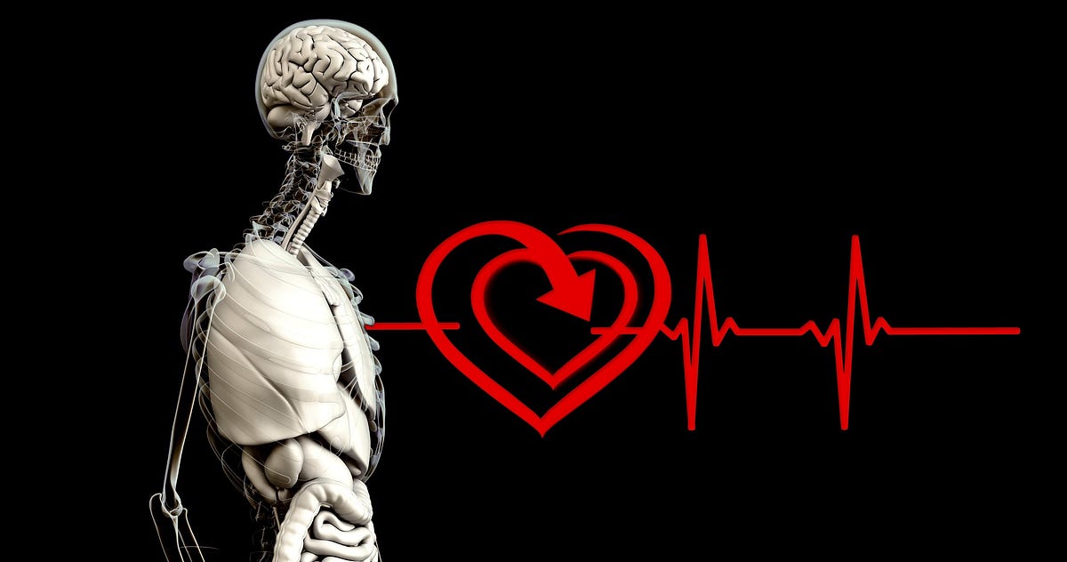 Heart Disease: Predicting the Kill | by Koren A. Nishina | Medium