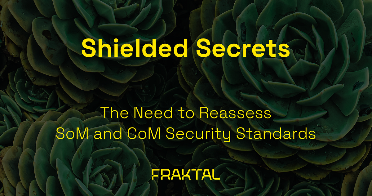 Shielded Secrets: The Need to Reassess SoM and CoM Security Standards ...