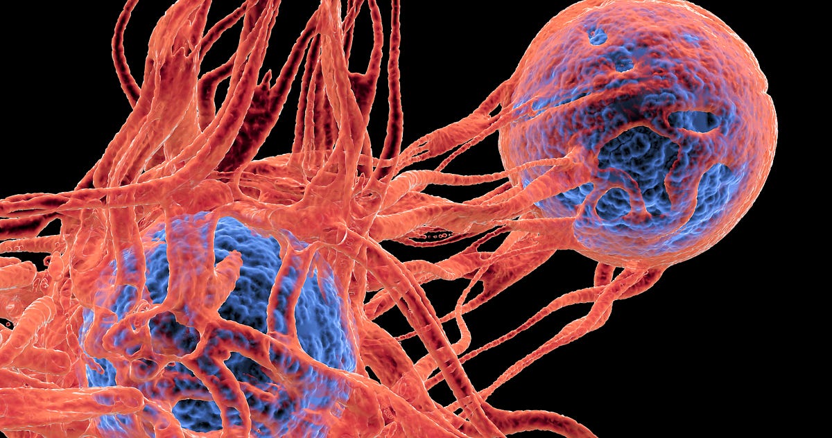 We Can Now Customize Cancer Cures, Tumor by Tumor | by MIT Technology ...