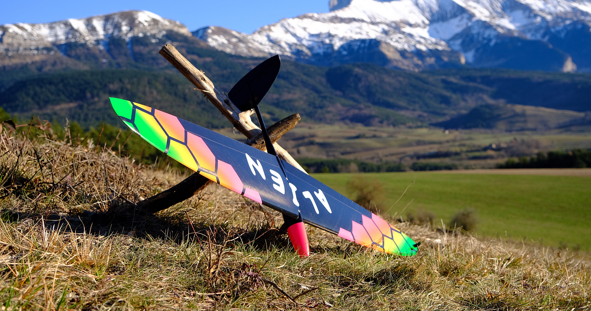Alien. A Carbon Encounter of the Bird Kind | by Pierre RONDEL | The New ...