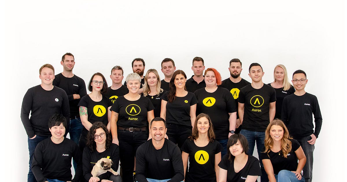 Auror Intel — An Introduction. As we kick off a New Year at Auror… | by ...