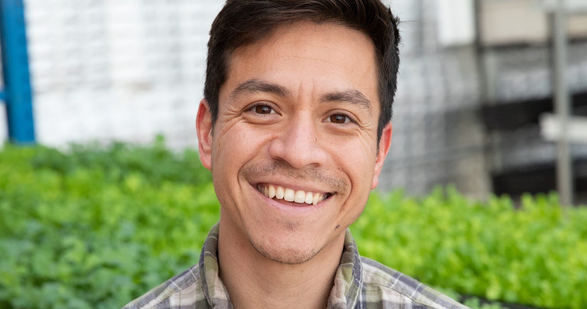 Emerald Gardens: Roberto Meza’s Big Idea That Might Change The World ...