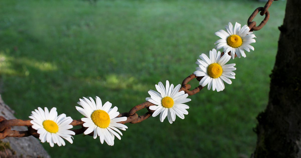 A Guide To Bash Commands Redirecting Chaining And Nesting By A S Said Ahmed Level Up Coding