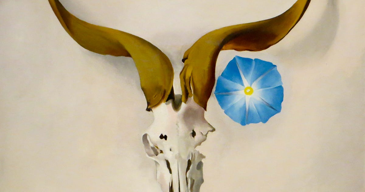 Cranial Process. Eric Dean Wilson’s journey from Georgia… | by drDOCTOR ...