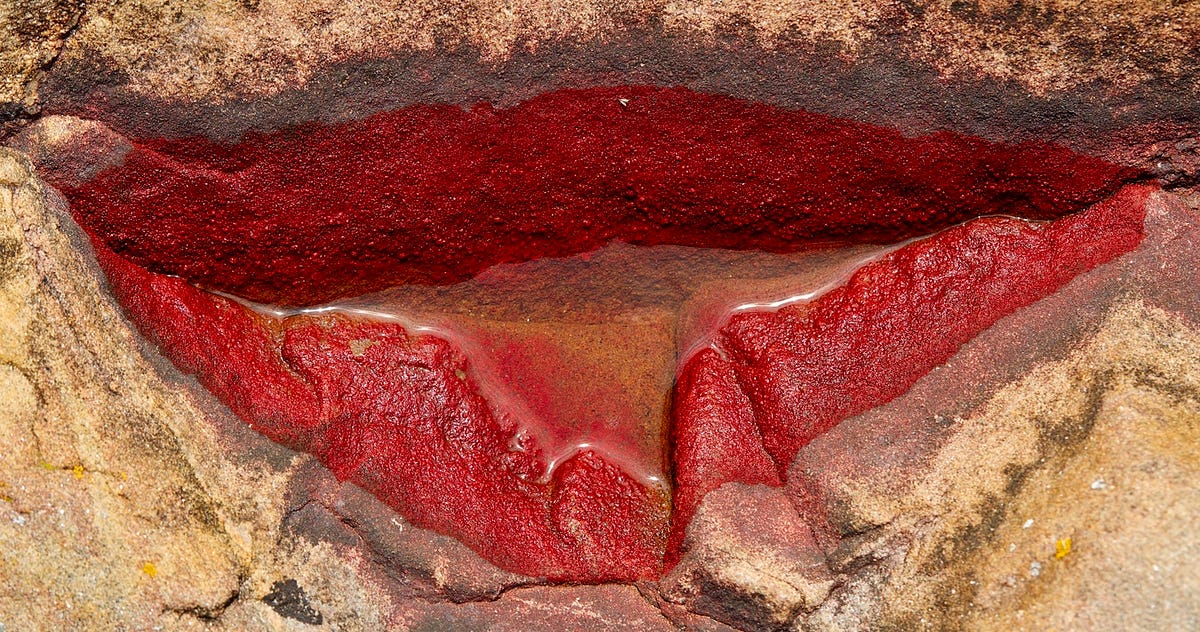 Spelunking in puddles.. Writing without depth isn’t such a bad… | by ...