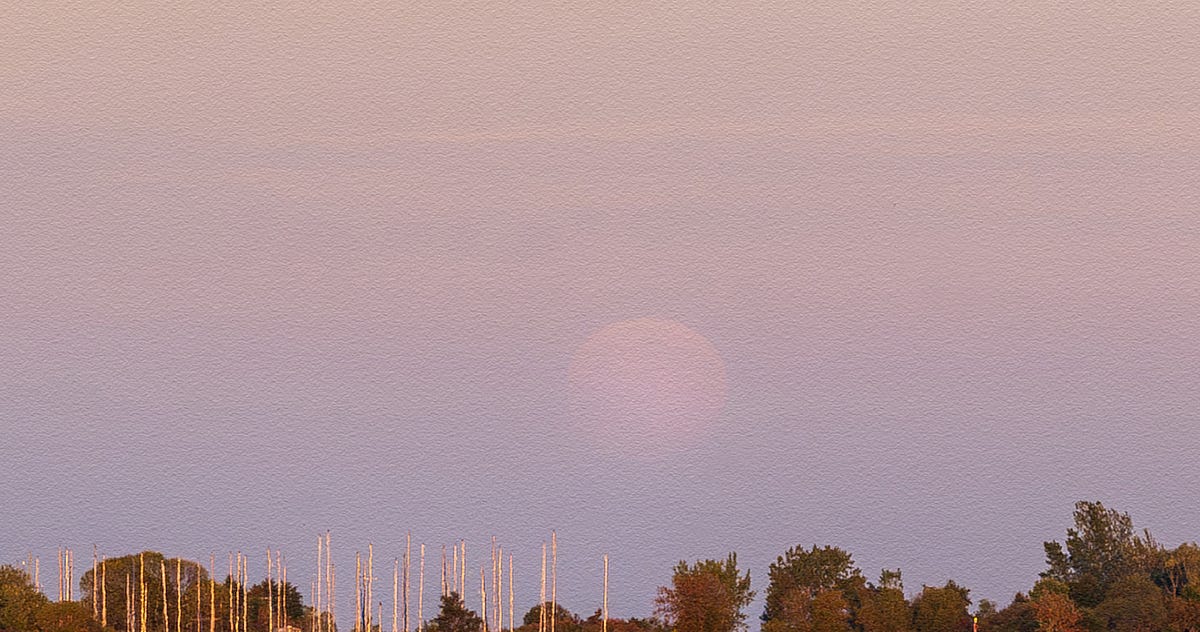 Moonstruck: Full Moon, Trust Your Heart and Let Go | by pockett dessert ...