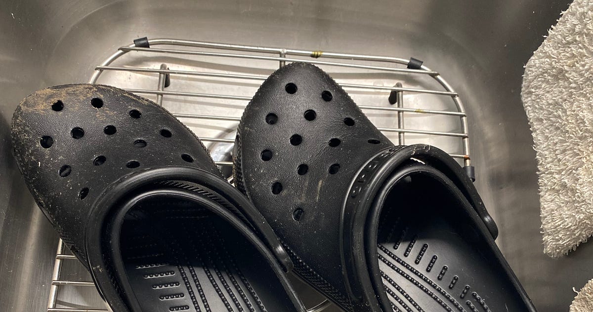 Why Are There Crocs In the Kitchen Sink? | by Amber Hope | Frazzled ...