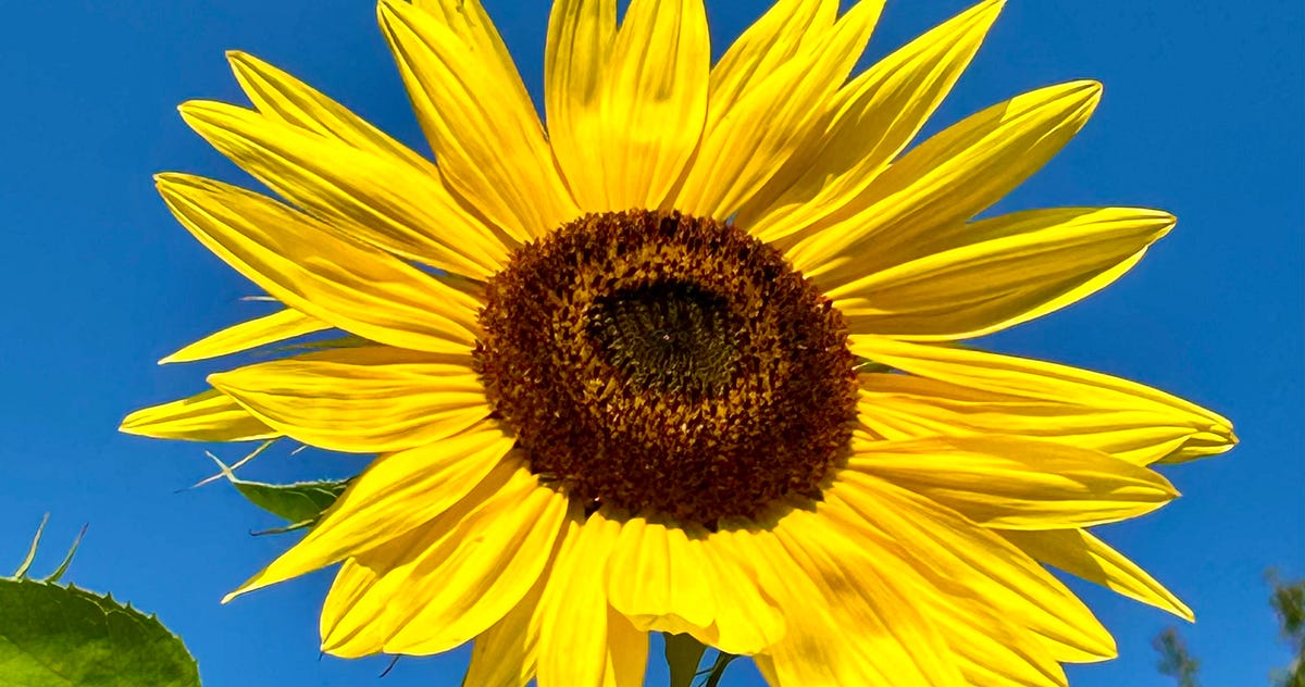 Depressed - Need Deep Rest? Depression Prevention | Purposeful Words