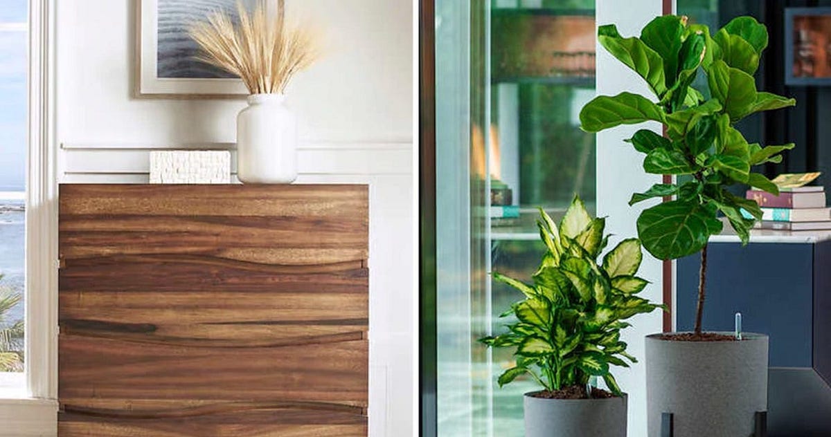 An interior designer shares 11 of the best home-decor items to get at ...