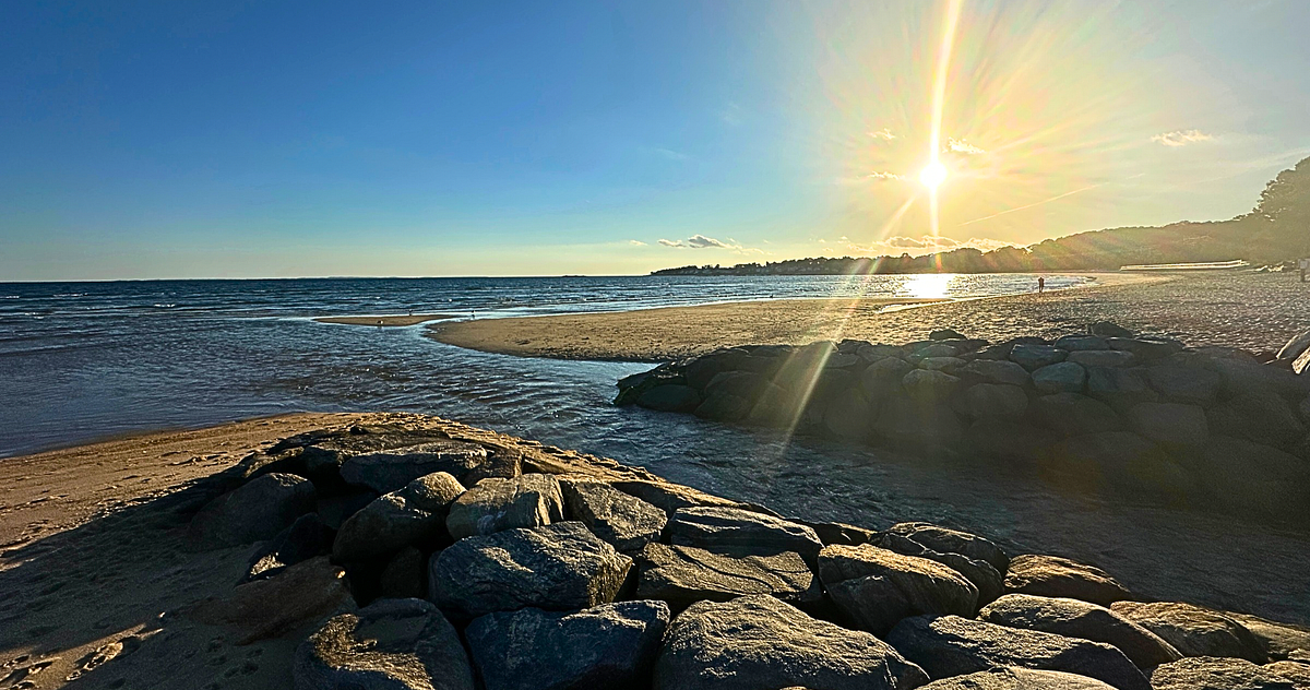 How Brush Fire at Rocky Neck State Park Deepened My Love for Nature ...