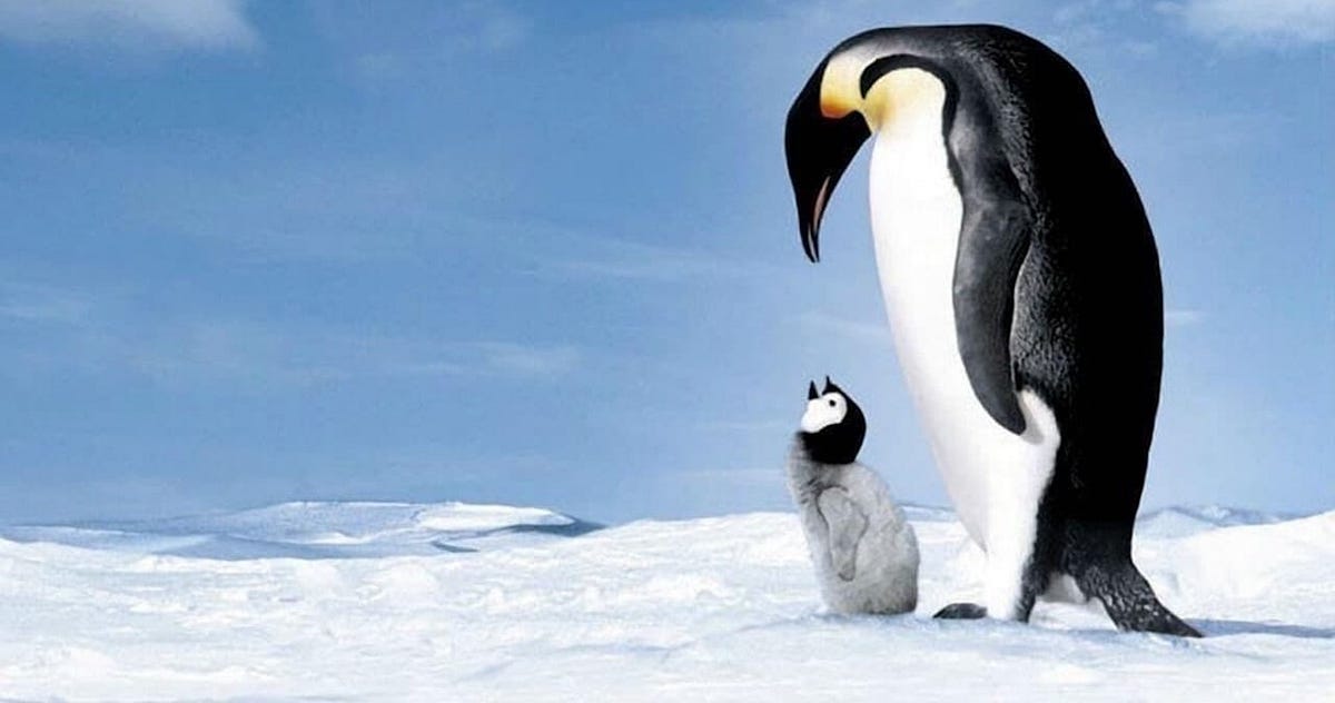 March of the Penguins (2005) • 20 Years Later — harrowing battle for ...