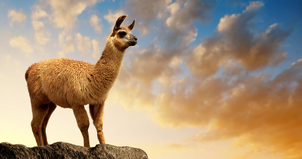 What's LLaMA? – Meta's Latest Collection of Large Language Models (LLMs ...
