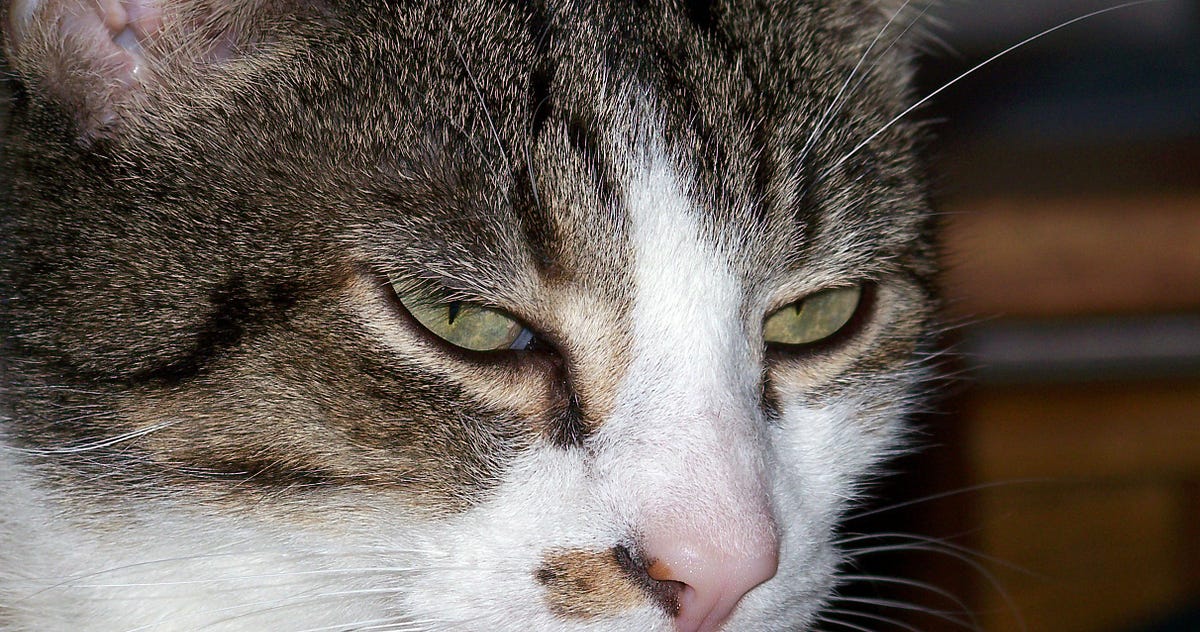 The world is boring. It would be interesting if we could all… | by Eric ...
