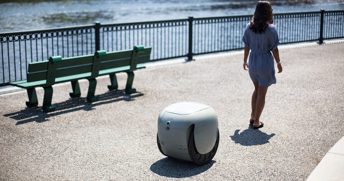 The First Useful Personal Robot Just Carries Your Stuff | by Corinne ...
