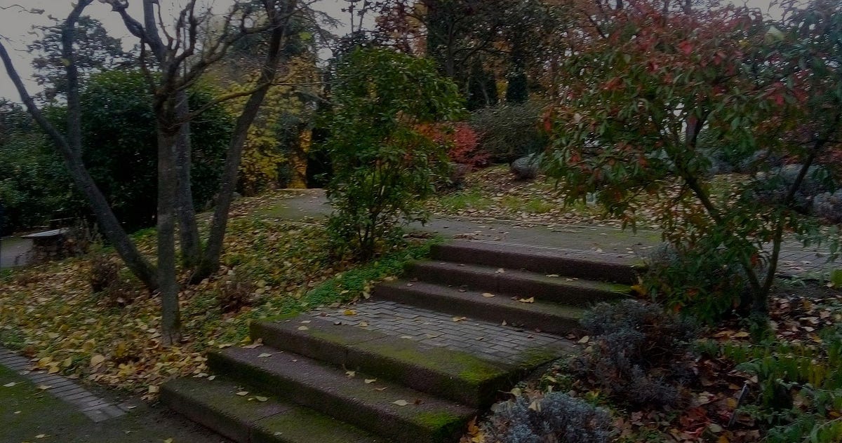 Six Steps - Six Word Photo Story Challenge - Medium