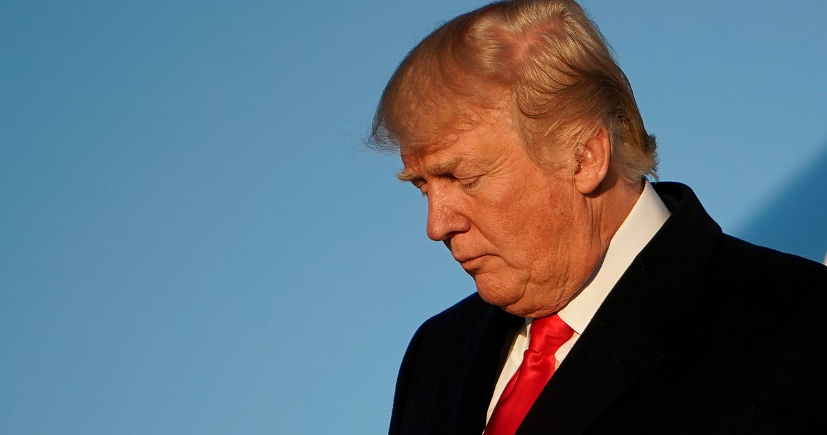 America Takes the Next Step Toward Tyranny | by New York Magazine | New ...