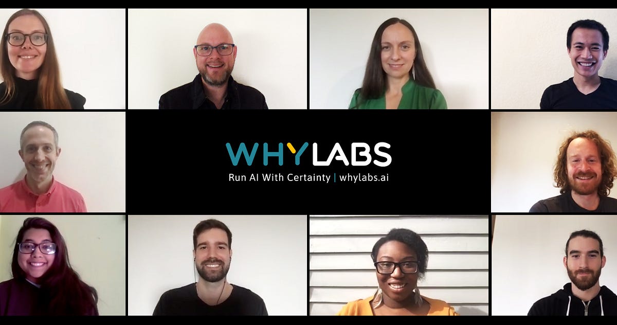 Introducing WhyLabs, a Leap Forward in AI Reliability | by Alessya ...