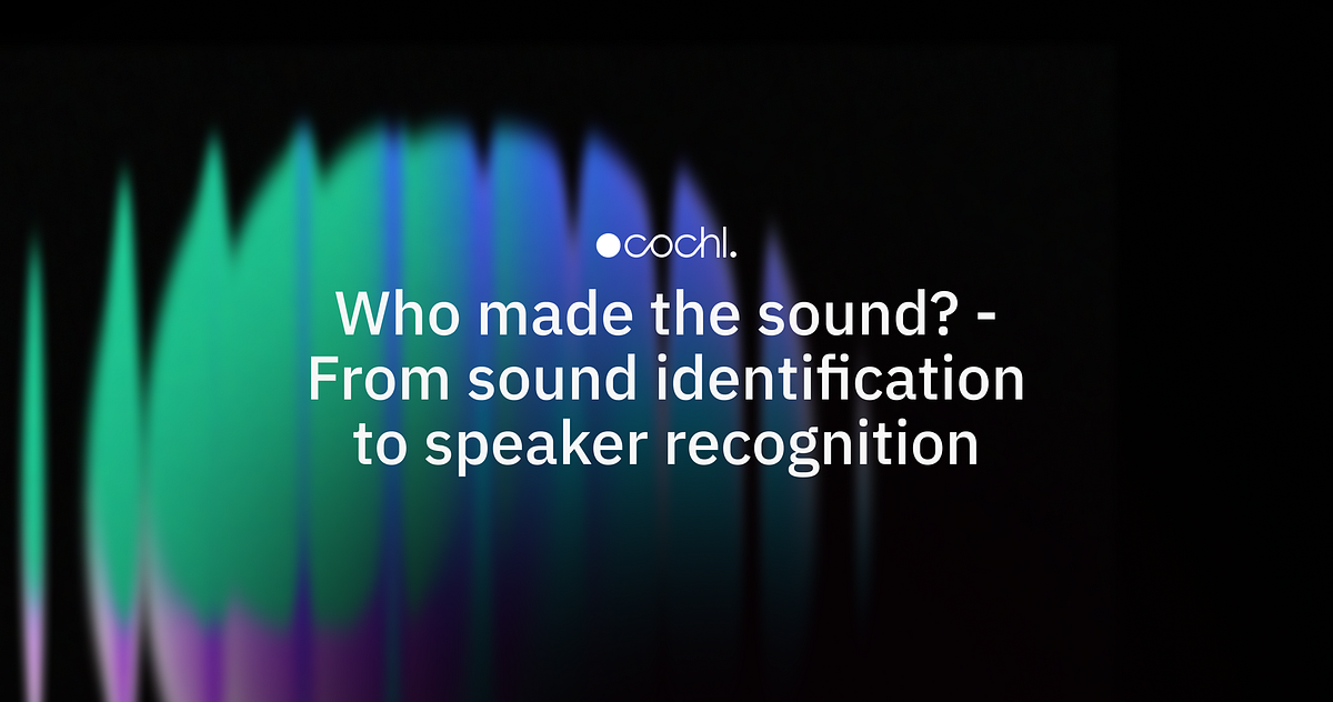 Who made the sound? - From sound identification to speaker recognition ...
