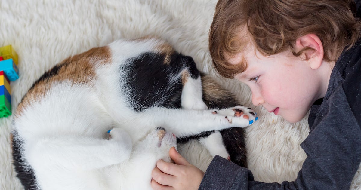 Forming Strong Partnerships With Your Cats | by Thryn | Medium