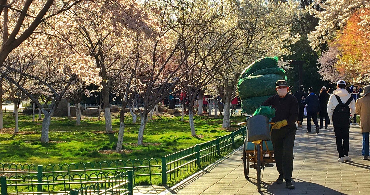 Obscure Parks of Beijing. Where to best enjoy Beijing’s spring… | by ...