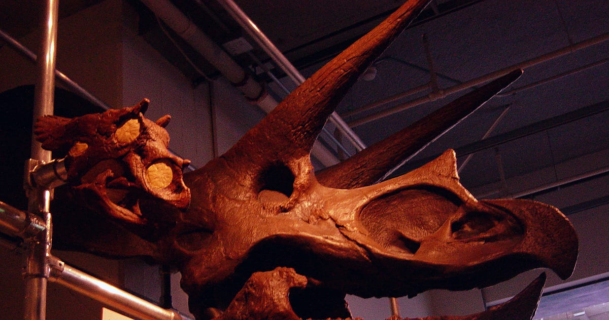 Horns, Beaks & Impressive Frills: The Mighty Ceratopsians | by Panos ...
