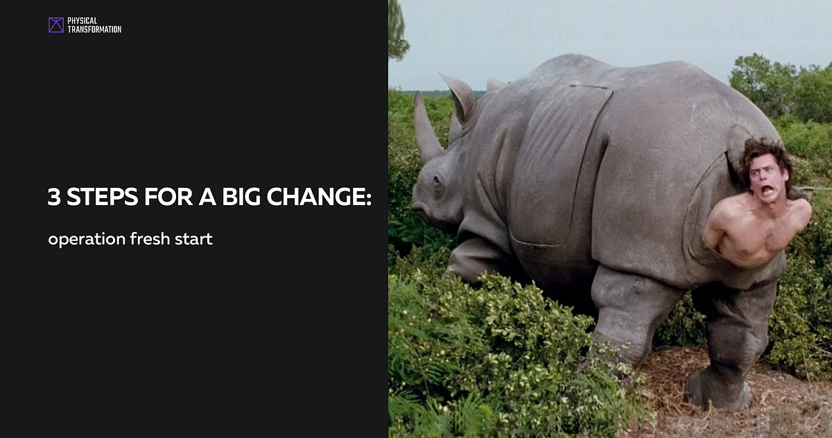 3 STEPS FOR A BIG CHANGE: operation fresh start | by Physical ...